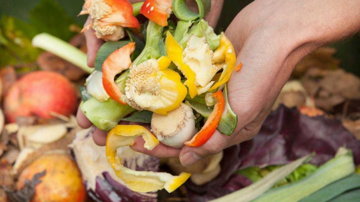 Gli scarti alimentari: recupero e riutilizzo dell'umido